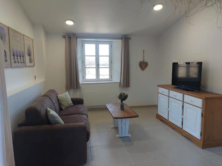 Lavandin - Meublé Le Clos Des Amandiers - Esparron-de-Verdon