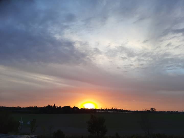 Chemin Du Soleil - Arles