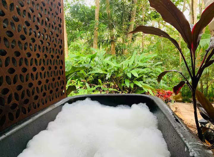 Repton Rainforest Escape - Coffs Harbour