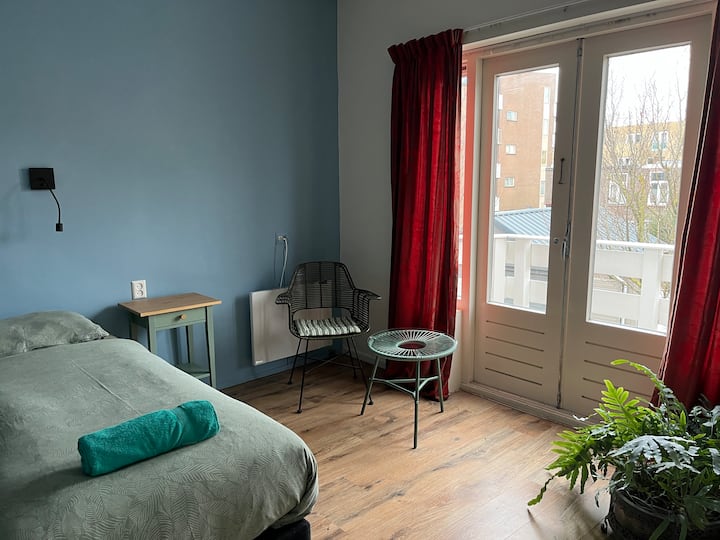 Sandfish - Bloemendaal aan Zee