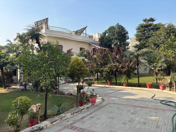 Urban Farm House - Patiala