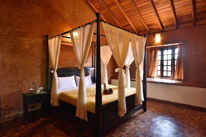 Eco Escape - The Burrow And The Whispering Willow - Kodaikanal