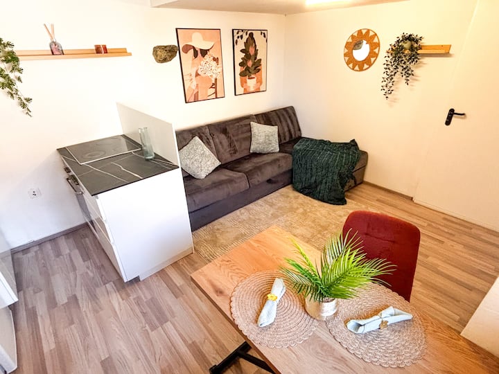 Bas De Maison Studio 24m2 + Place De Parc - Kanton Waadt