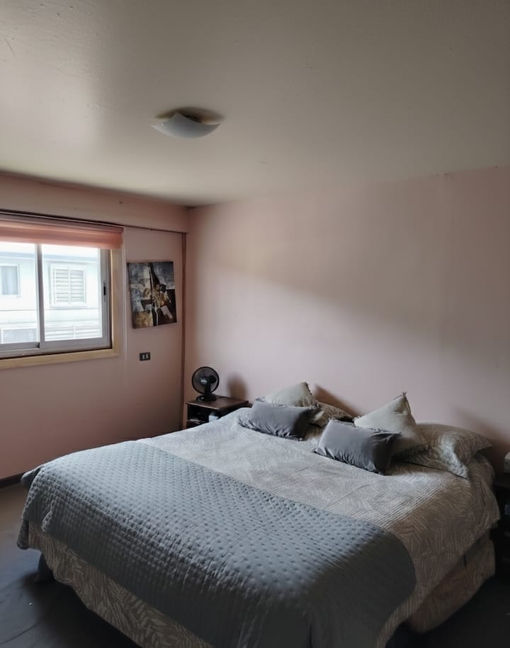 Departamento Céntrico - Hualqui