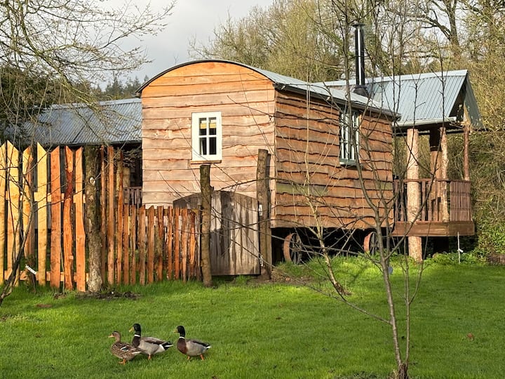 Tinkers Dell Cabin In Woodland Garden - Axminster