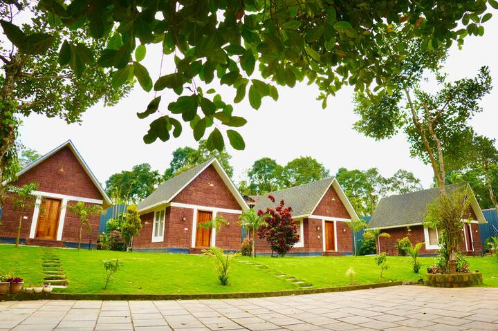 Misty Forest Resort - Bandipur