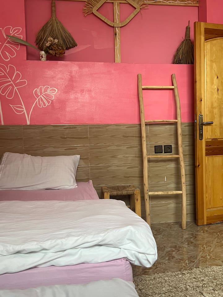 Mamo Surf Morocco - Taghazout