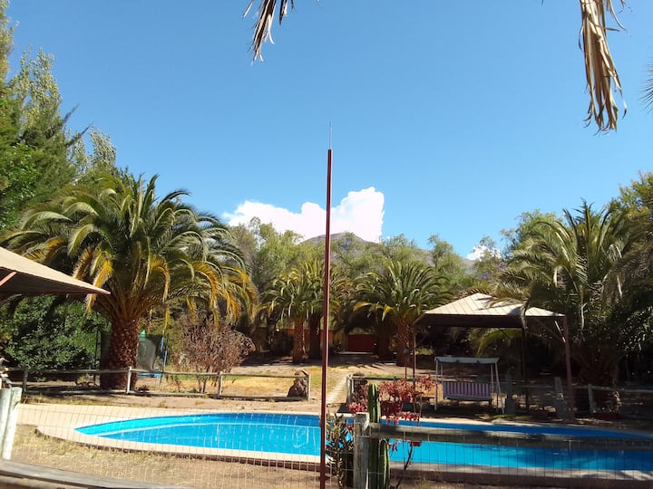 Bosque & Mamalluca - Vicuña