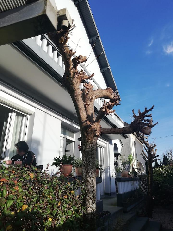 Chambre Chez L'habitant - Lourdes