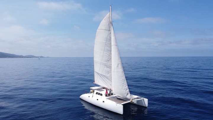 Cataplume - Île de Porquerolles