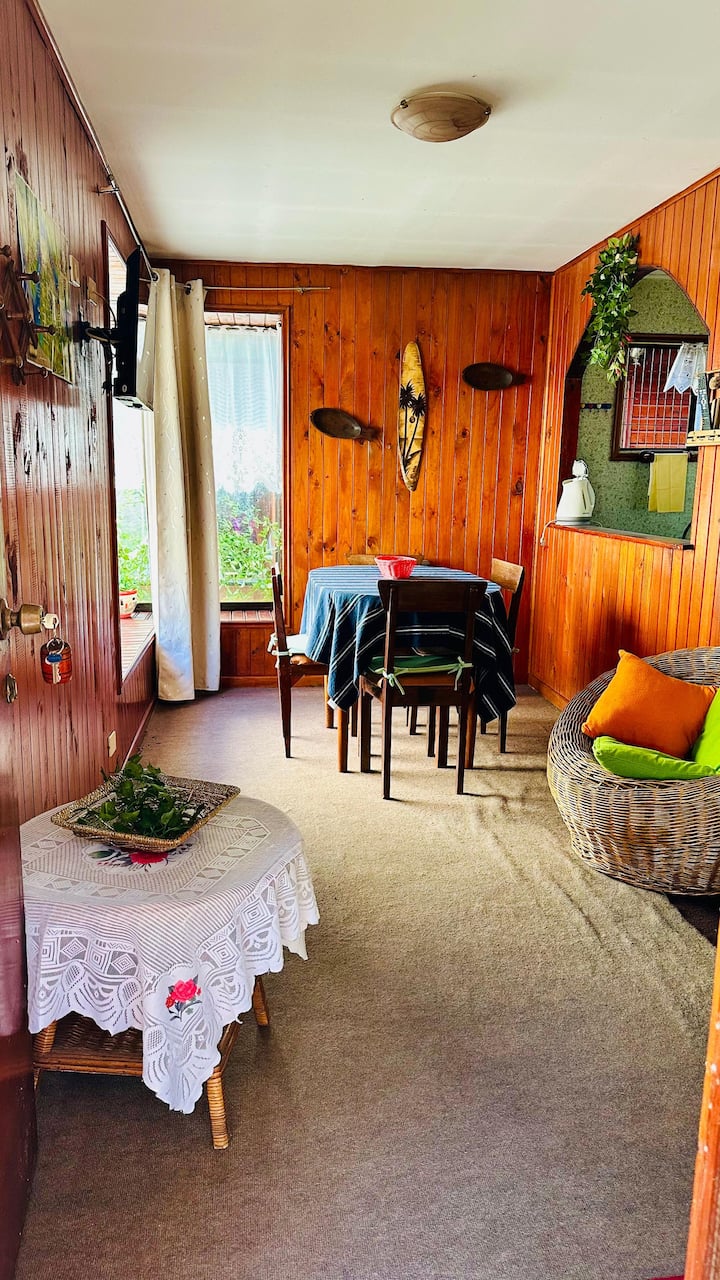 Cabañas Esmeralda. En Pleno Centro De Valdivia. - Valdivia