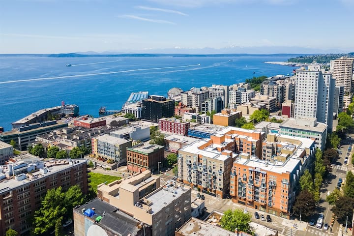 Bright Cozy Downtown Seattle Condo-parking/sleeps4 - Seattle, WA