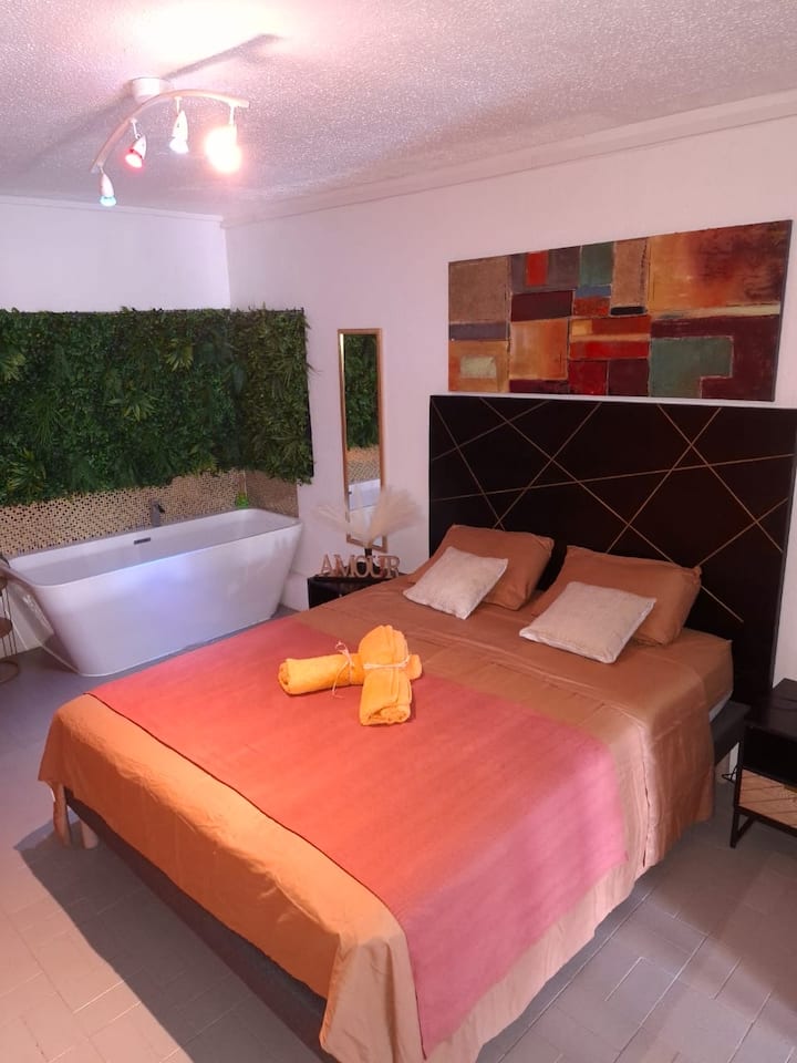 Studio Chaleureux Et Inspirant Avec Piscine - Guadeloupe