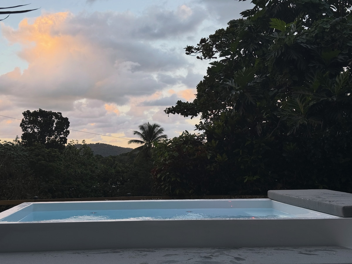 ¡Estadía en El Yunque! ¡Enorme balcón con vista a la montaña! Piscina ...