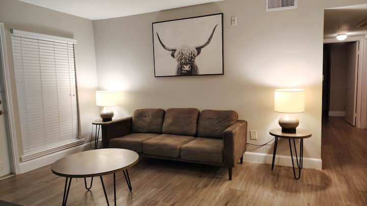 King 2 Bed 2 Bath Apt | 5 Min Walk To Nrg | Rodeo - Houston, TX