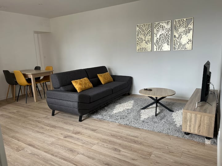 Charmant Appartement En Centre Ville - Mayenne