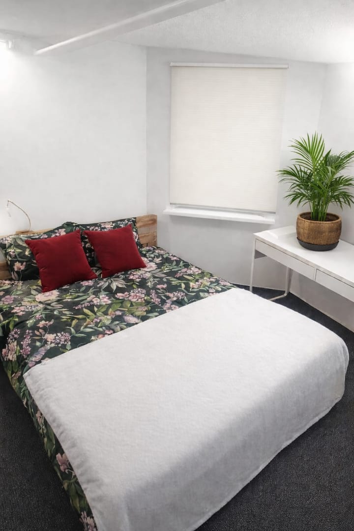 Уютные Pet-friendly апартаменты в центре Риги - Riga