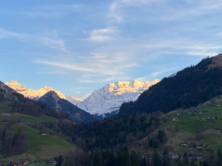 Swiss Lodge Mountain Apartement - Spiez