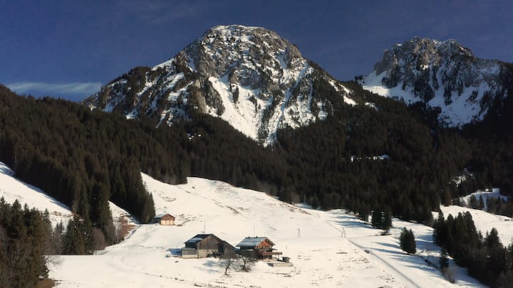 Luxury 5br Chalet With Butler & Panoramic Views - Gstaad