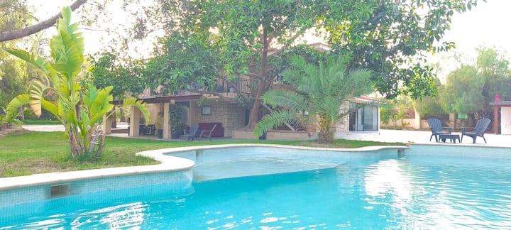 Villa Con Piscina De Diseño Y Gran Estanque - Municipality of San Vicente del Raspeig / Sant Vicent del Raspeig