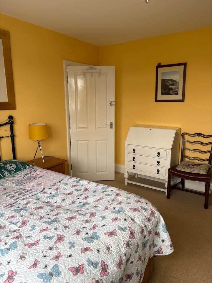 Cheltenham Races - Cheltenham