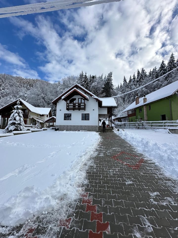 The Forest Chalet - Hermannstadt