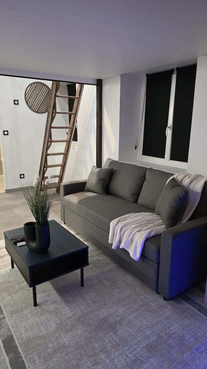 Appartement, Centre-ville D’orléans, Proche Gare. - Orléans