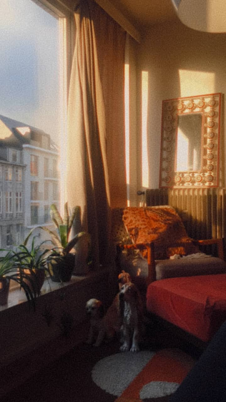 Vintage Panoramische Kamer Centraal Gelegen - Gand