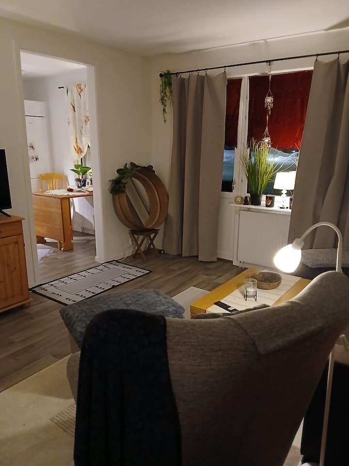1a I Mora Nära Vasaloppsmålet - Mora