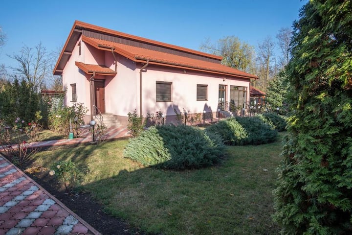 Casa Ideala Pentru Petreceri Si Grupuri - Urziceni