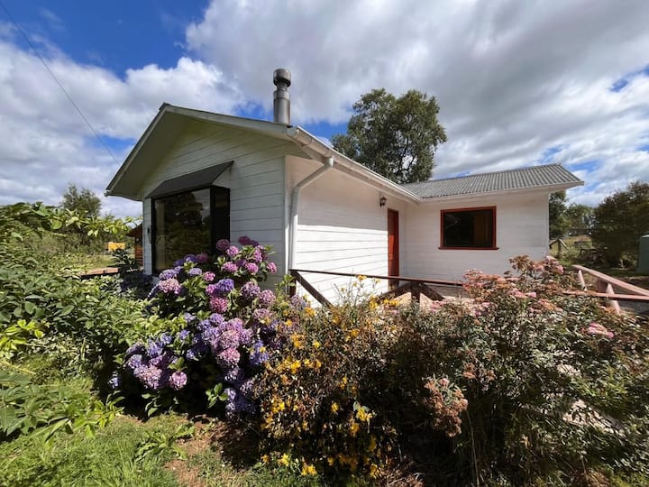 Casa Osorno (Campo) - Osorno