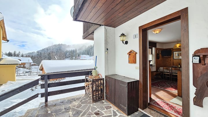 Belvedere Pecol - Selva di Cadore