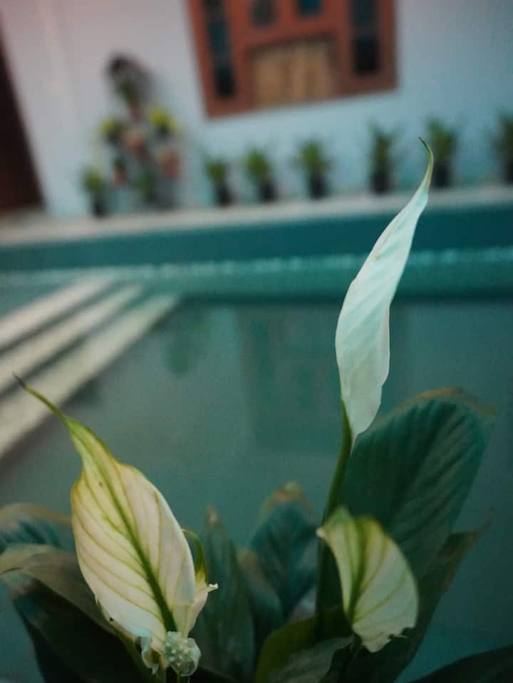 Modern 2-bedroom Stay With A Private Swimming Pool - Faridabad