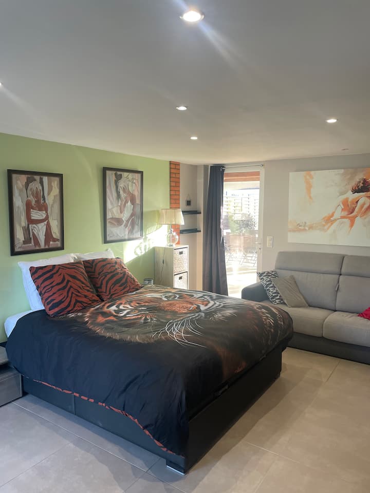 Chambre Cosy, Spacieuse, Lumineuse Avec Sdb Privée - Challans