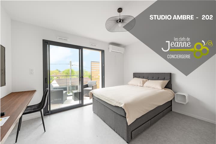 Studio Ambre - Centre - Albi - Albi