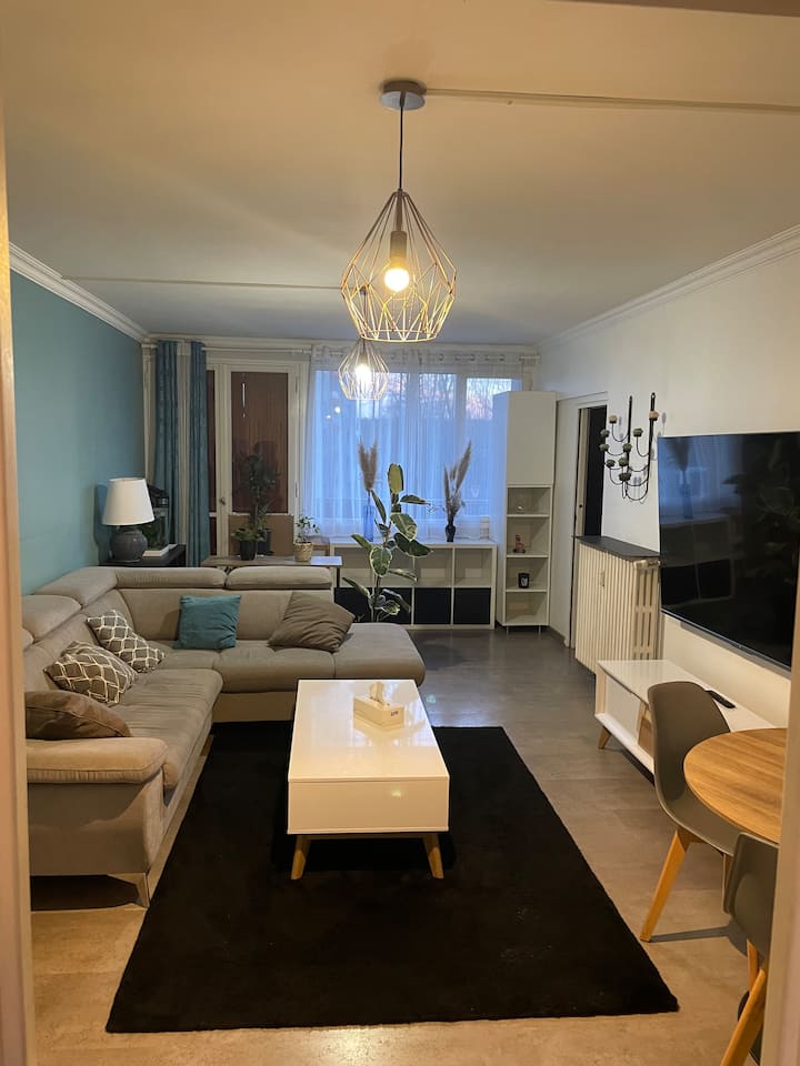 Bienvenue Dans Notre Charmant Appartement - Lagny-sur-Marne