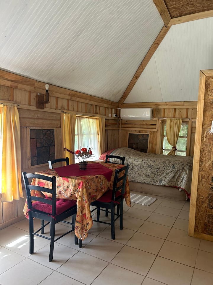 Cabaña En La Naturaleza - Contulmo