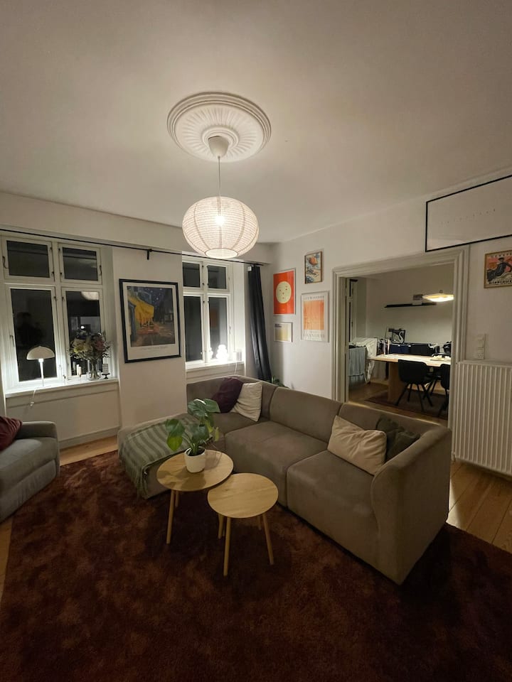 Stor Lejlighed I Centrum Af Odense Med God Plads - Odense