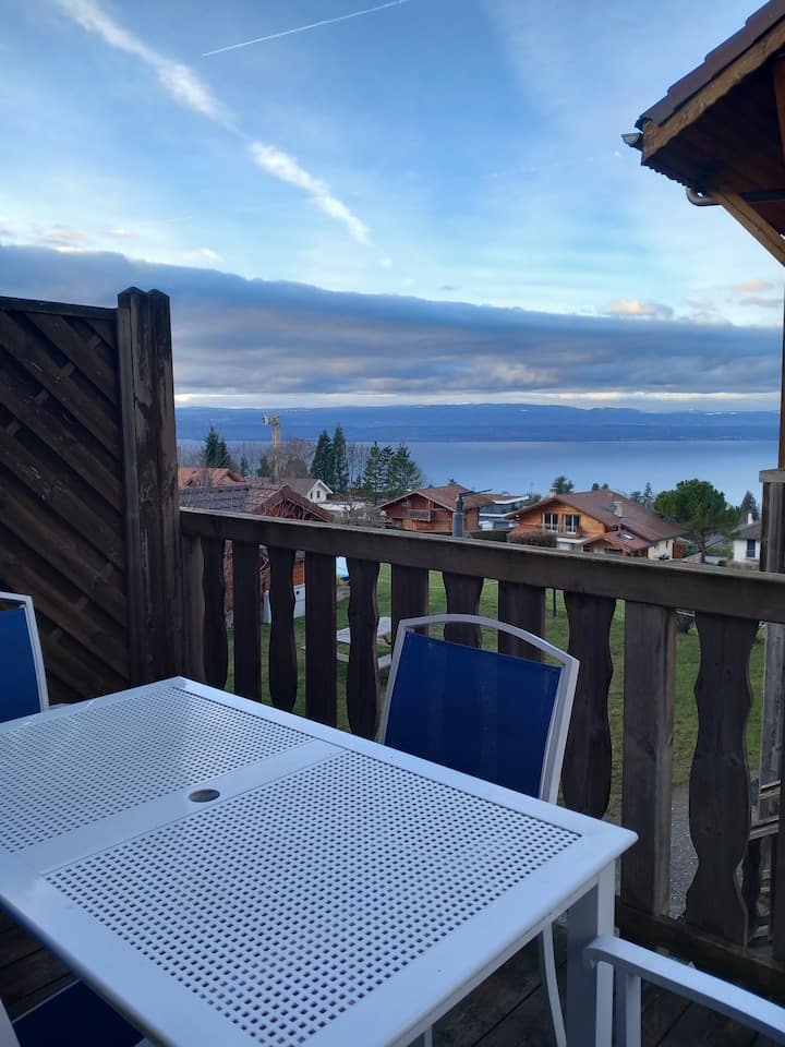Appartement Dans Un Chalet Avec Vue Lac Et Piscine - Évian-les-Bains