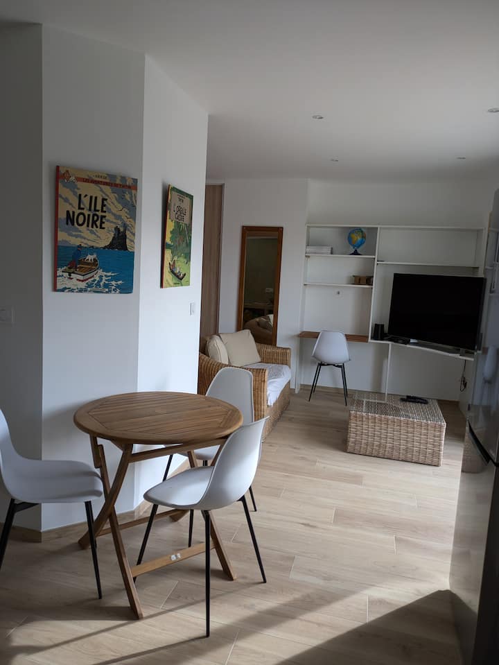 Apt 35 M², Centre Ville. Lumineux Et Foncionnel. - Voiron
