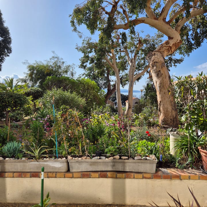 Appartement Route Des Sanguinaires. - Ajaccio