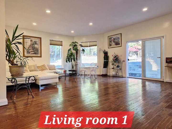 Luxury Sunlight Home - Fairfax, VA