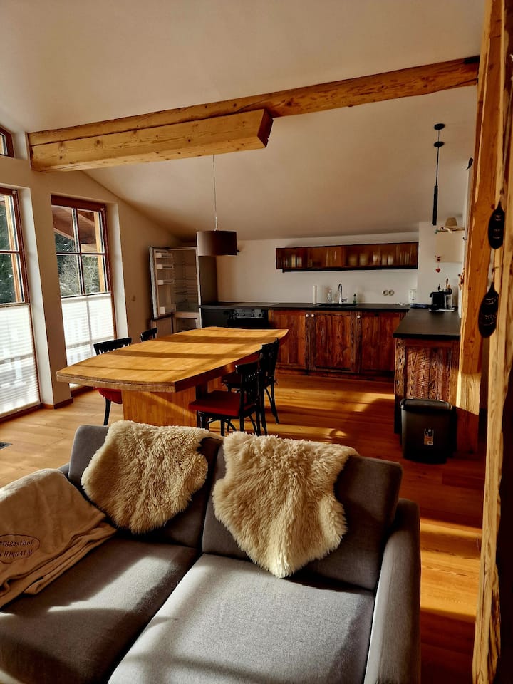 Faschingalm Loft - Lienz