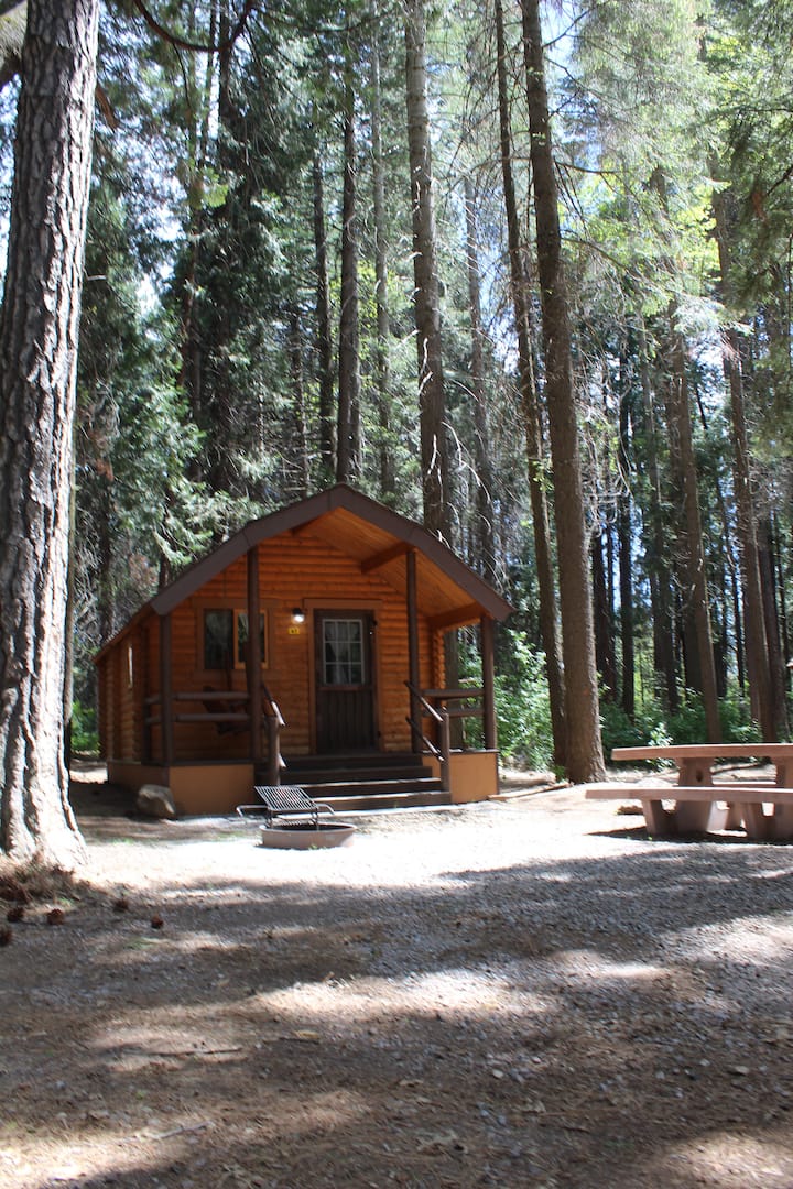 Rustic 2 Room Cabin On The Base Of Mount Shasta - Mount Shasta, CA