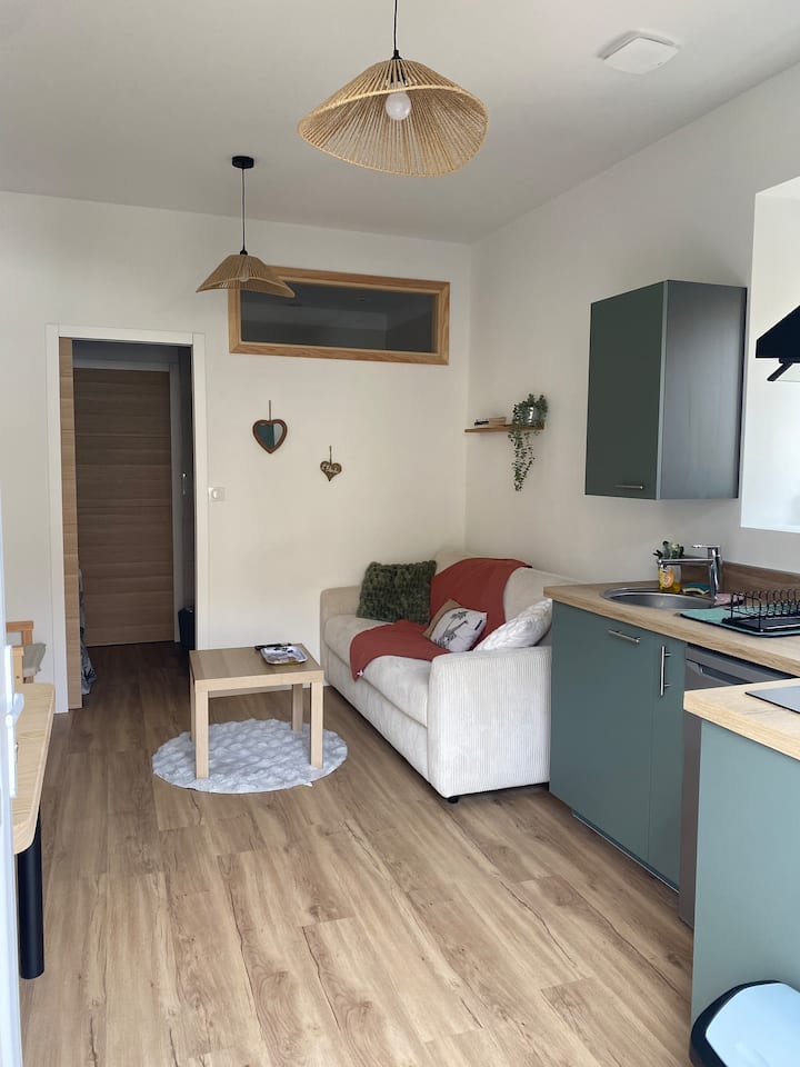 L'eterlou, Appartement 2 à 4 Personnes - Chambon-sur-Lac