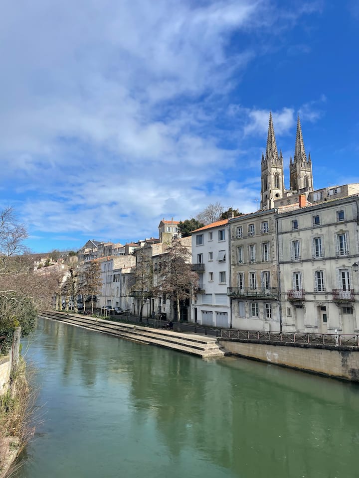 Maison De Ville En Bord De Sèvre à 200m Du Centre - Niort