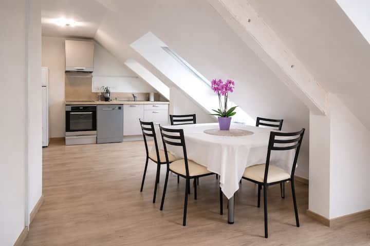 Appartement Paisible Sous Les Toits - Ascenseur - Saint-Flour