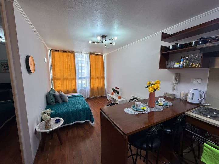 Departamento Para 4 A Pasos Del Teatro Coliseo - 聖地牙哥