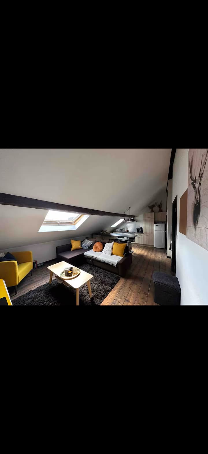 Appartement Sous Les Combles - Spa