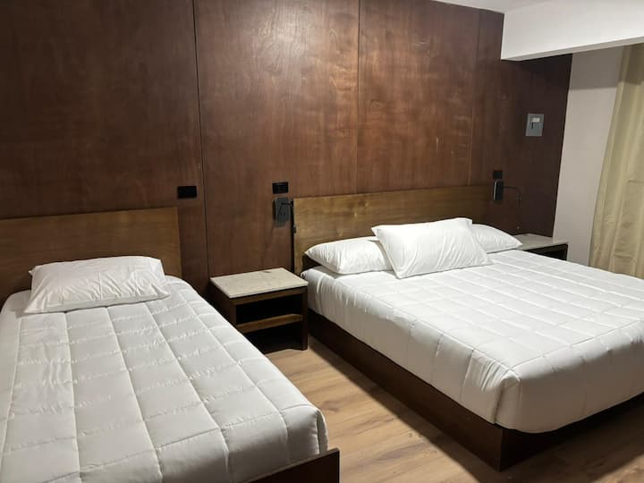 Eme Departamentos: San Lorenzo-c - Monterrey